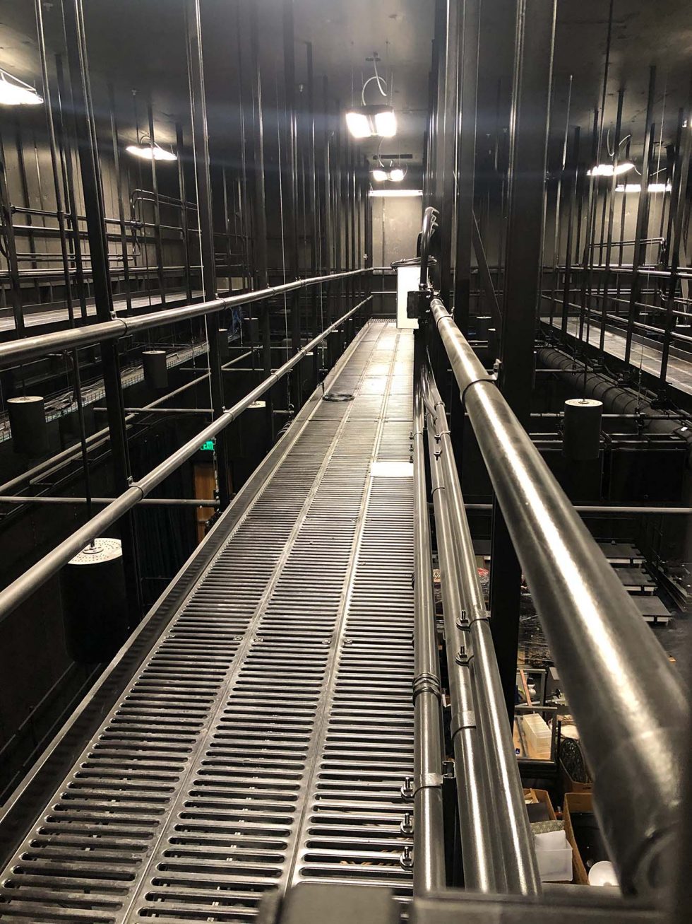 Cat Walk | Arts and Digital Media