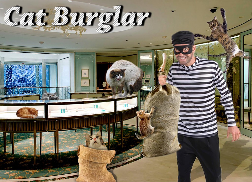 Visual Pun | Ann Kennedy