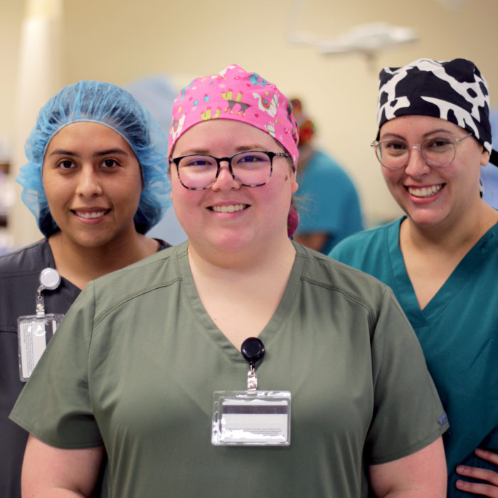 Application Process | Health Sciences