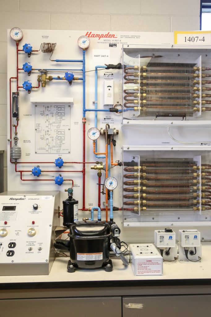 From student to professor & business owner | ACC Newsroom | Austin ...