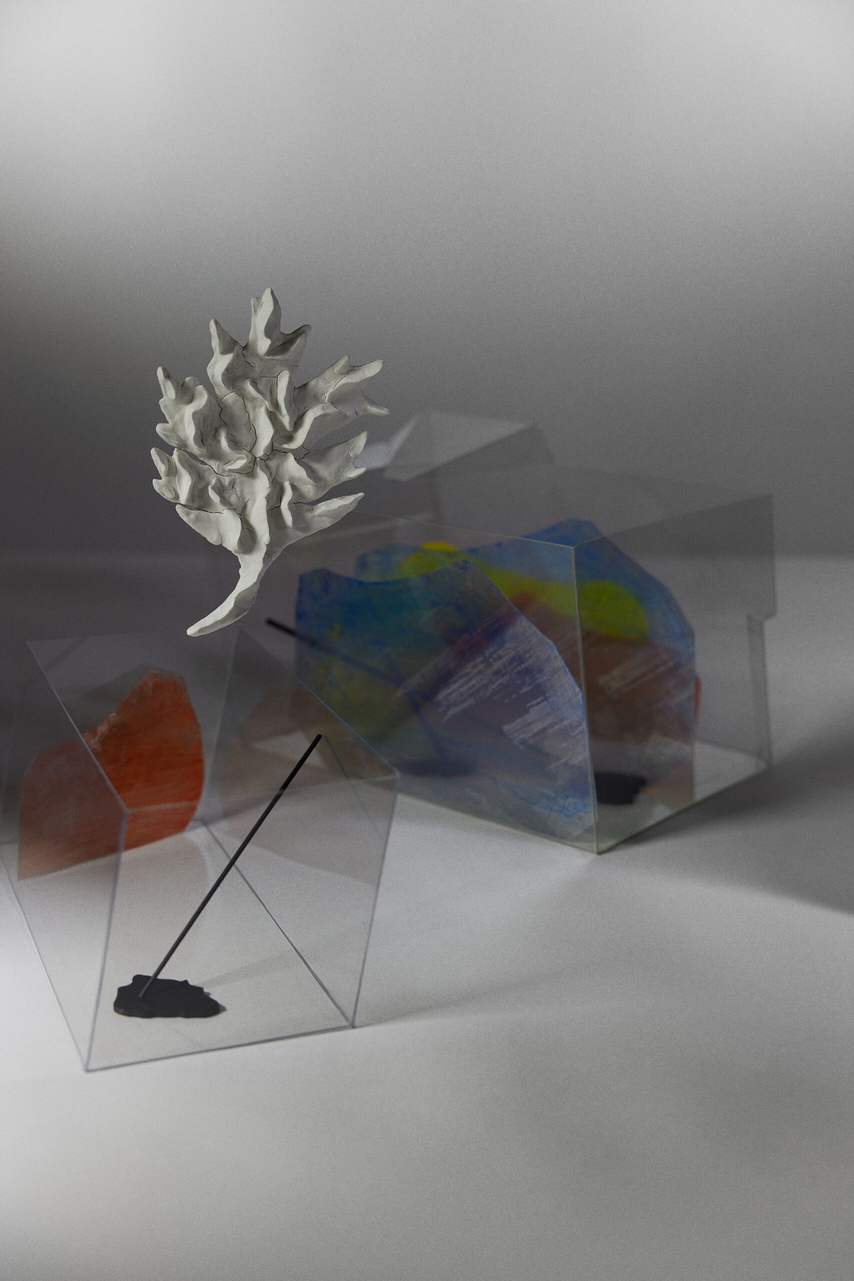 PROGRAM – AAS In Photography – Fine Art Specialization | The Department ...